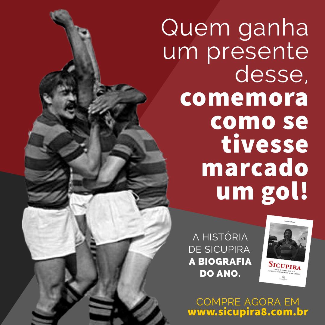 Zelig Digital - conteúdos | texto | imagem